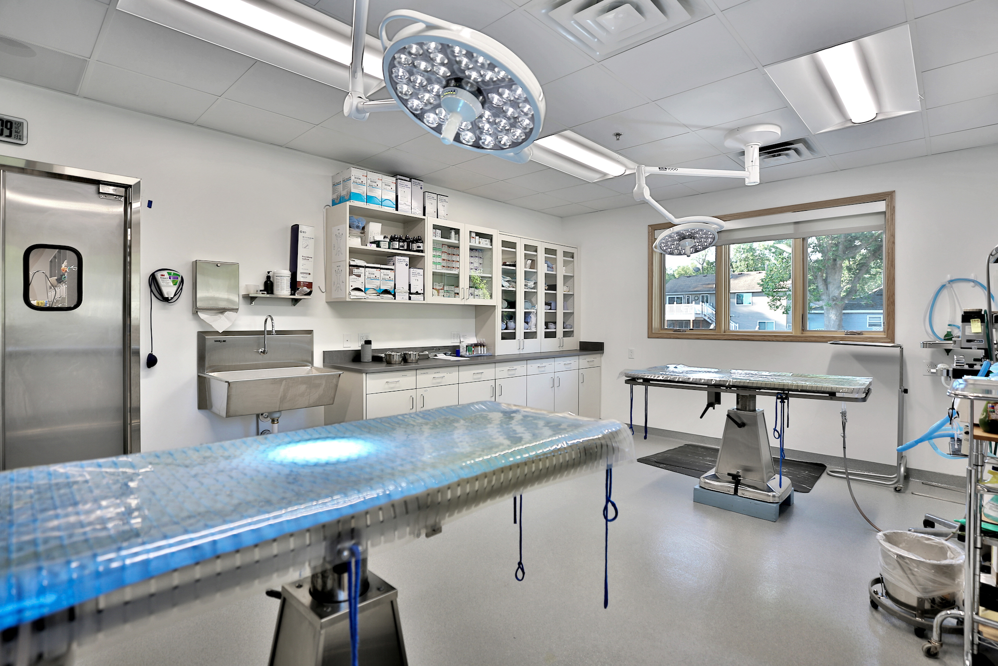 South Shore Veterinary Hospital - KOMA